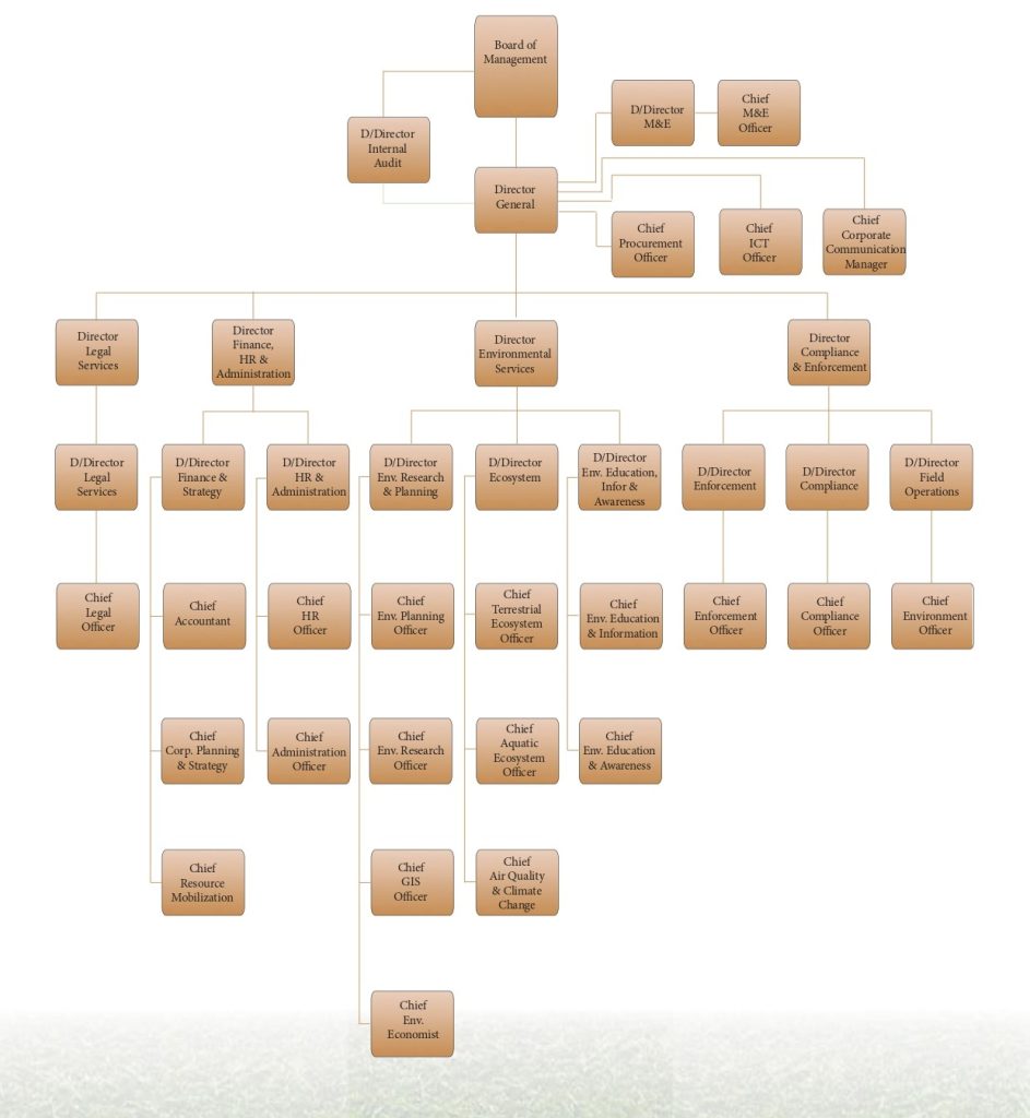 National Environmental Management Authority Organizational Structure - Saraka
