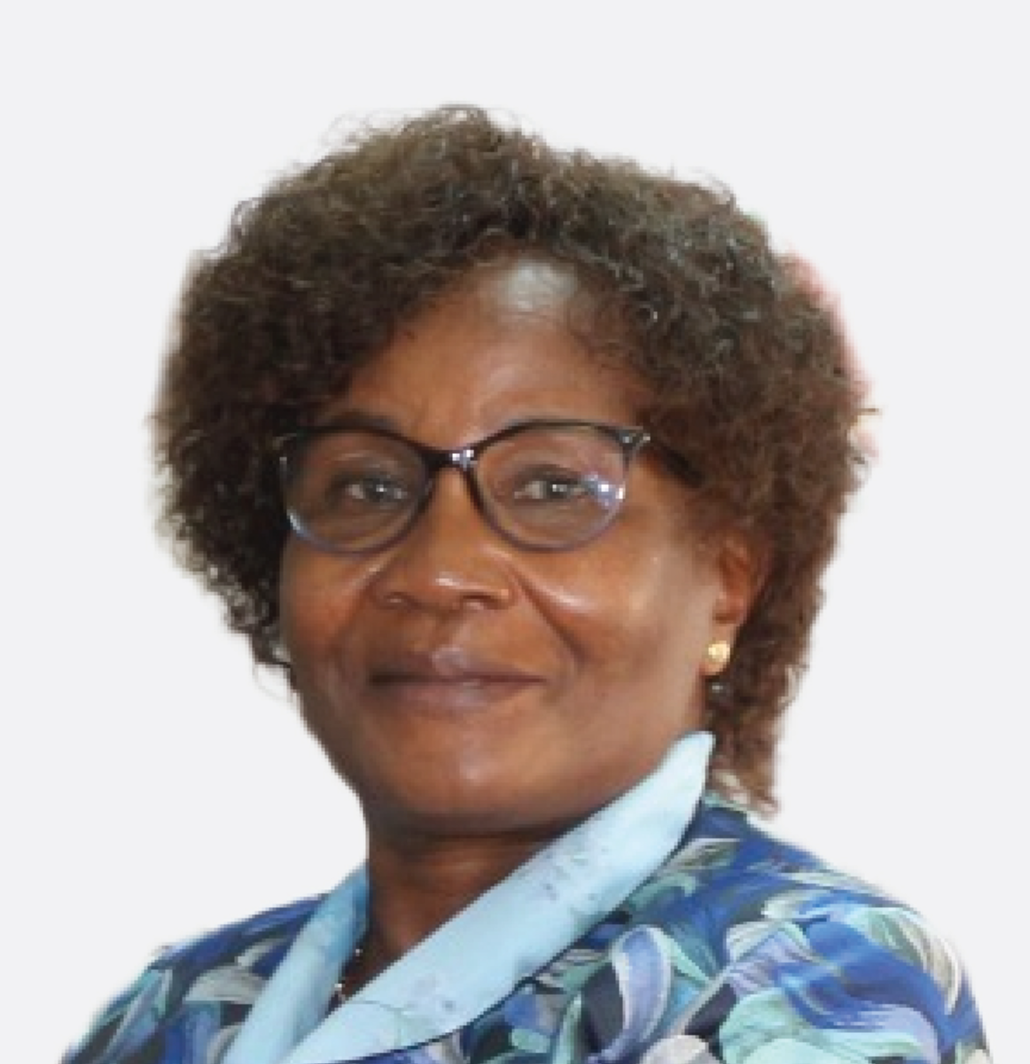 Kenya Branding and Exports Promotion Agency - Saraka