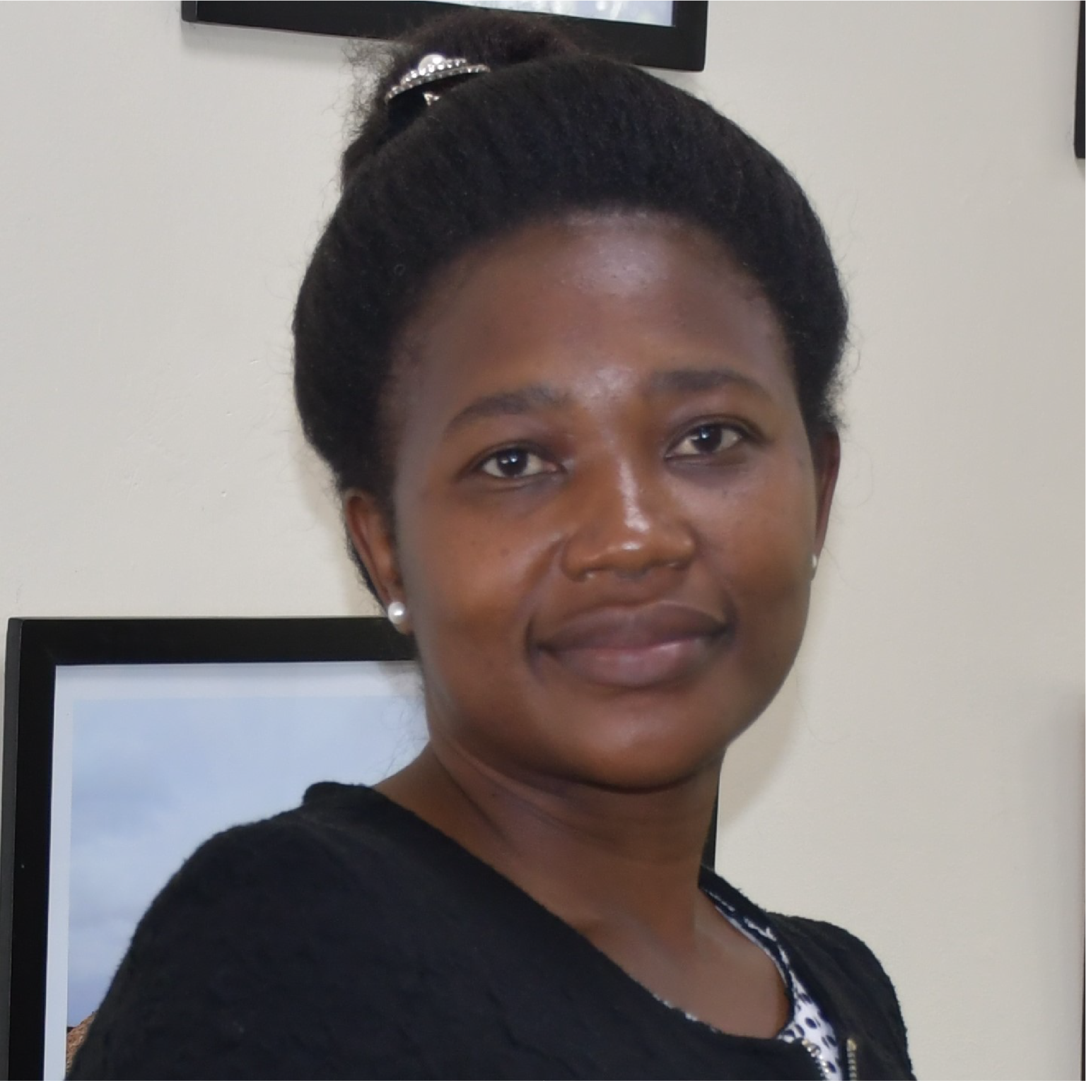 East African Portland Cement Company - Saraka